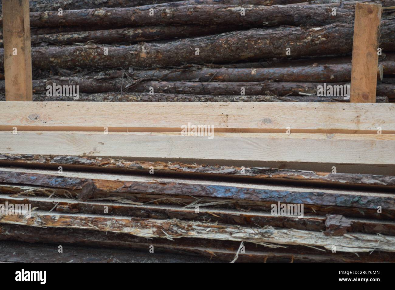 Lots of long wooden natural planed logs with knots at a sawmill. The ...