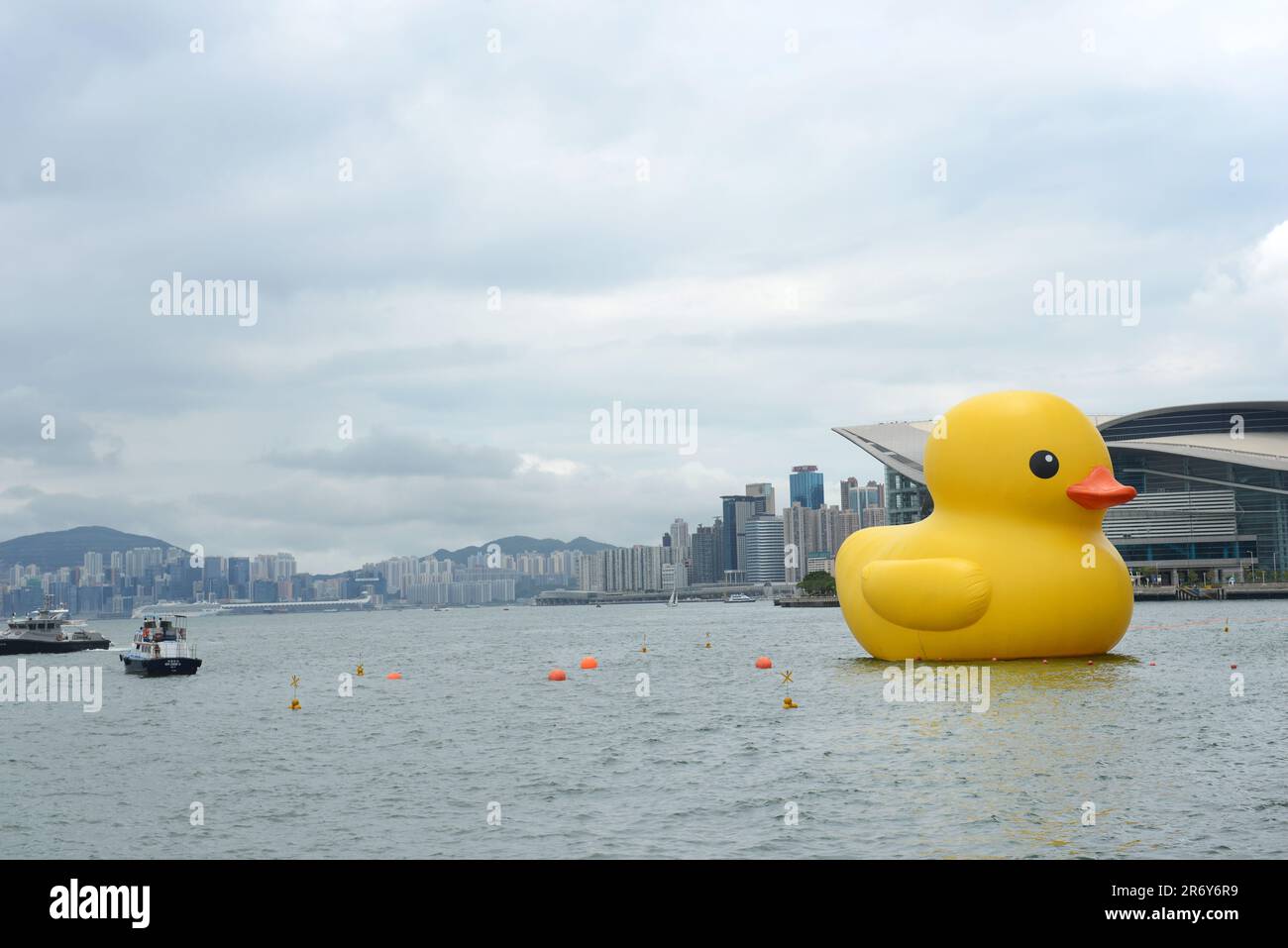 The Rubber Duck by Florentijn Hofman returns to Hong Kong Stock Photo ...