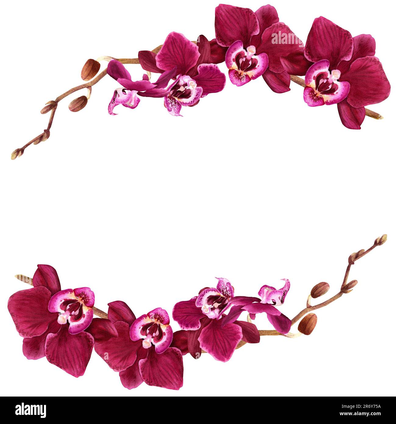 Orchid Flower Clip Art