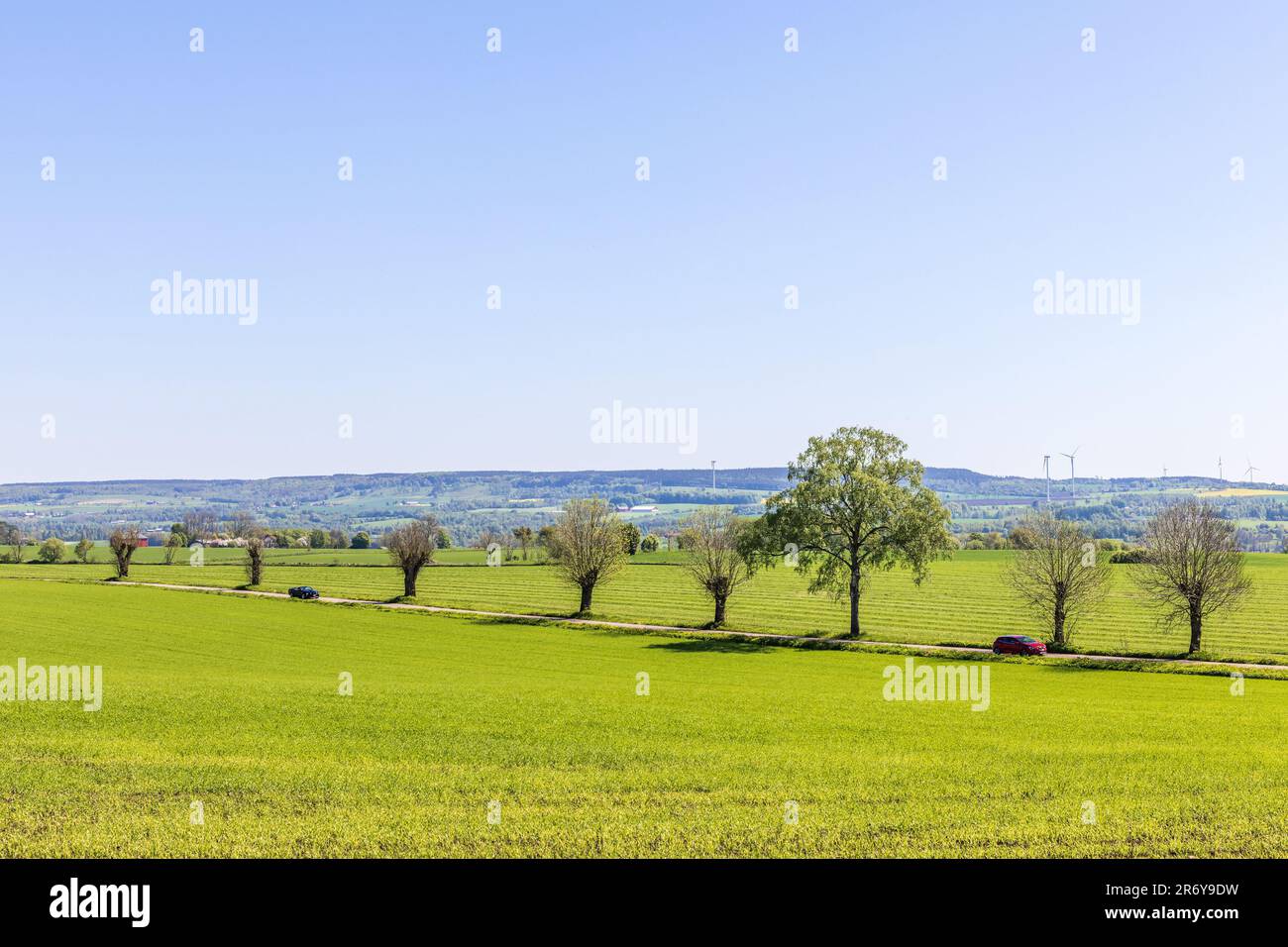 Road cars treelined hi-res stock photography and images - Alamy