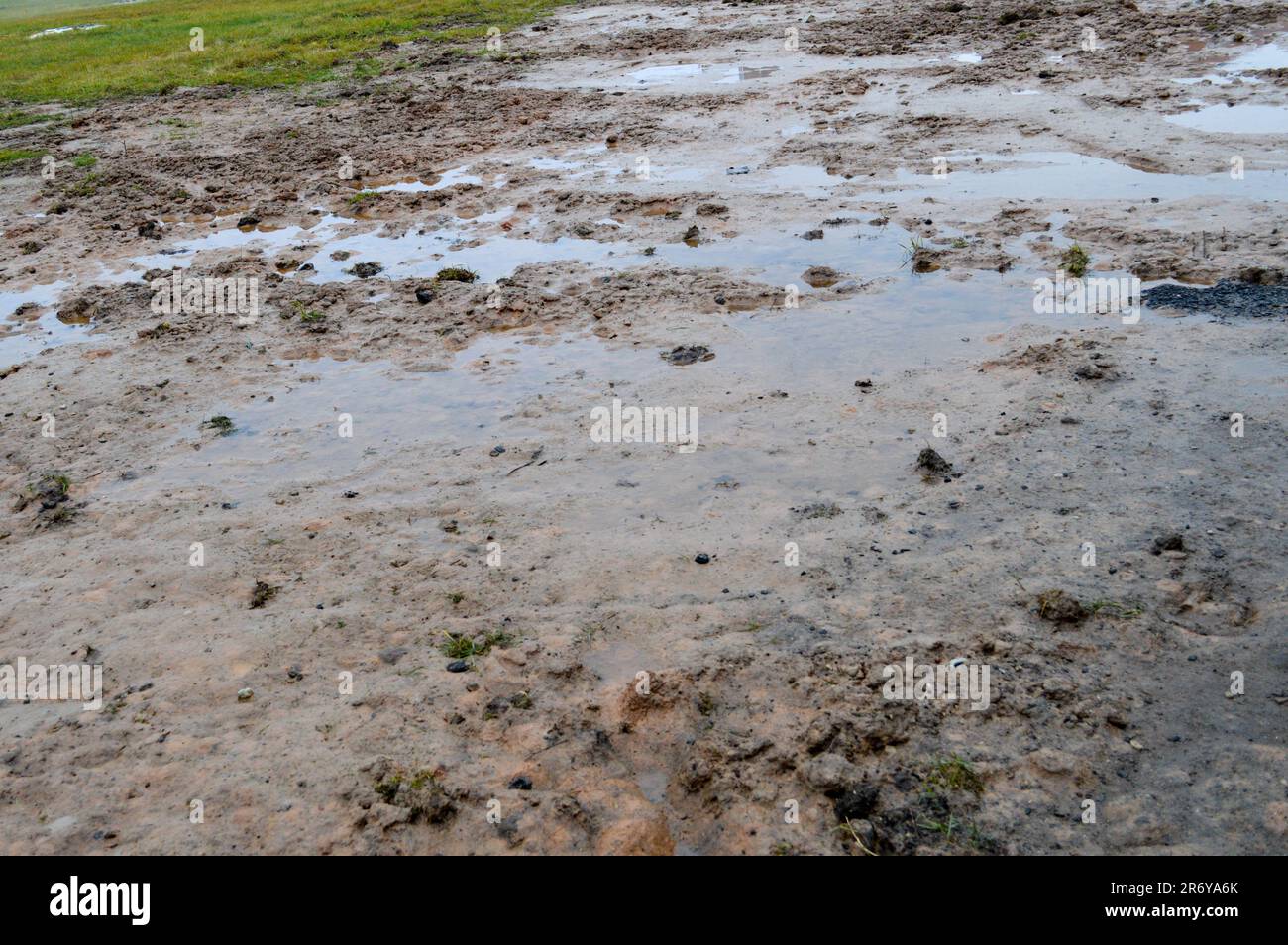 Mud puddles hi-res stock photography and images - Alamy