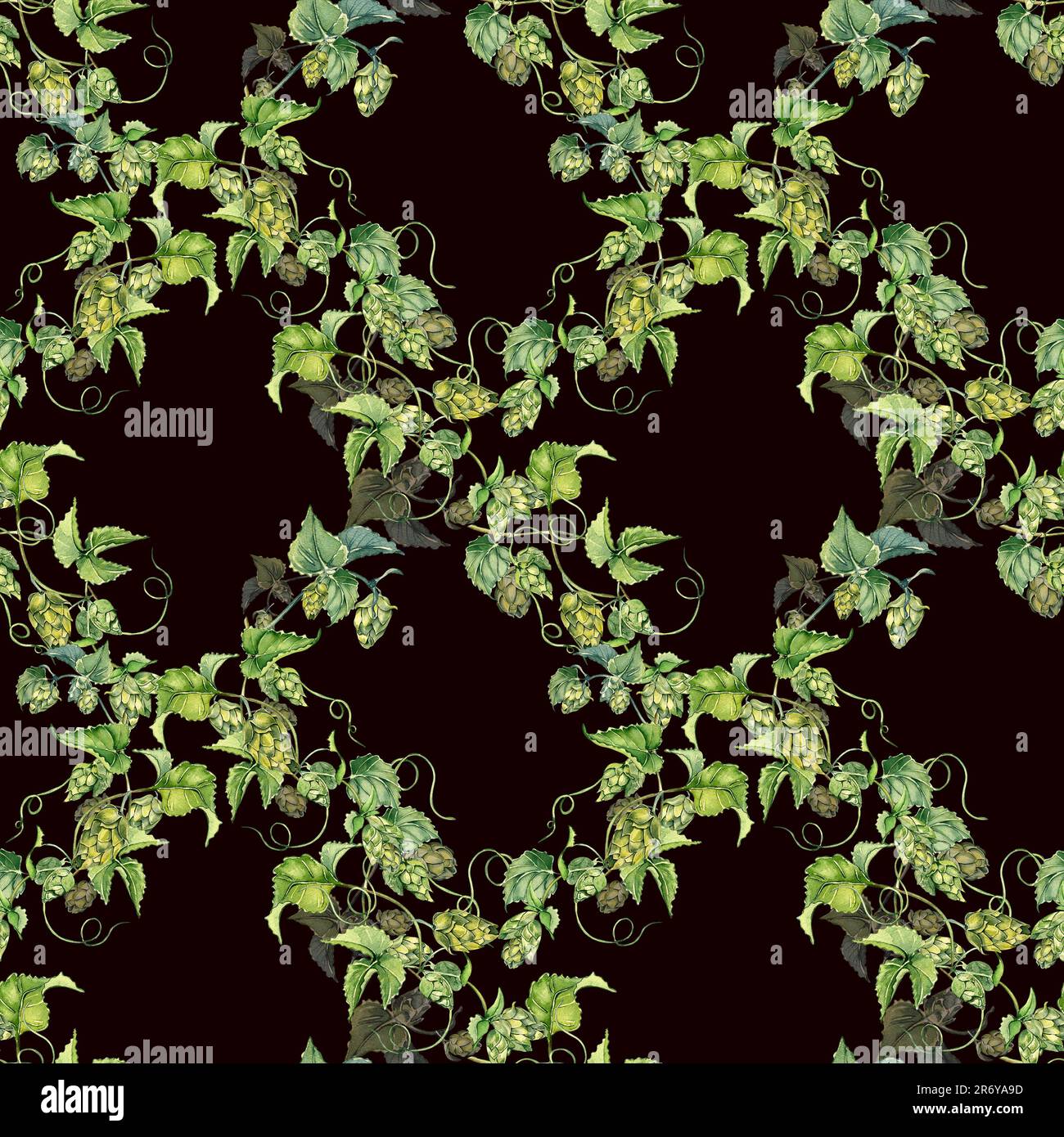 Hop vine, plant humulus watercolor seamless pattern isolated on black background. Hop on brunch ...