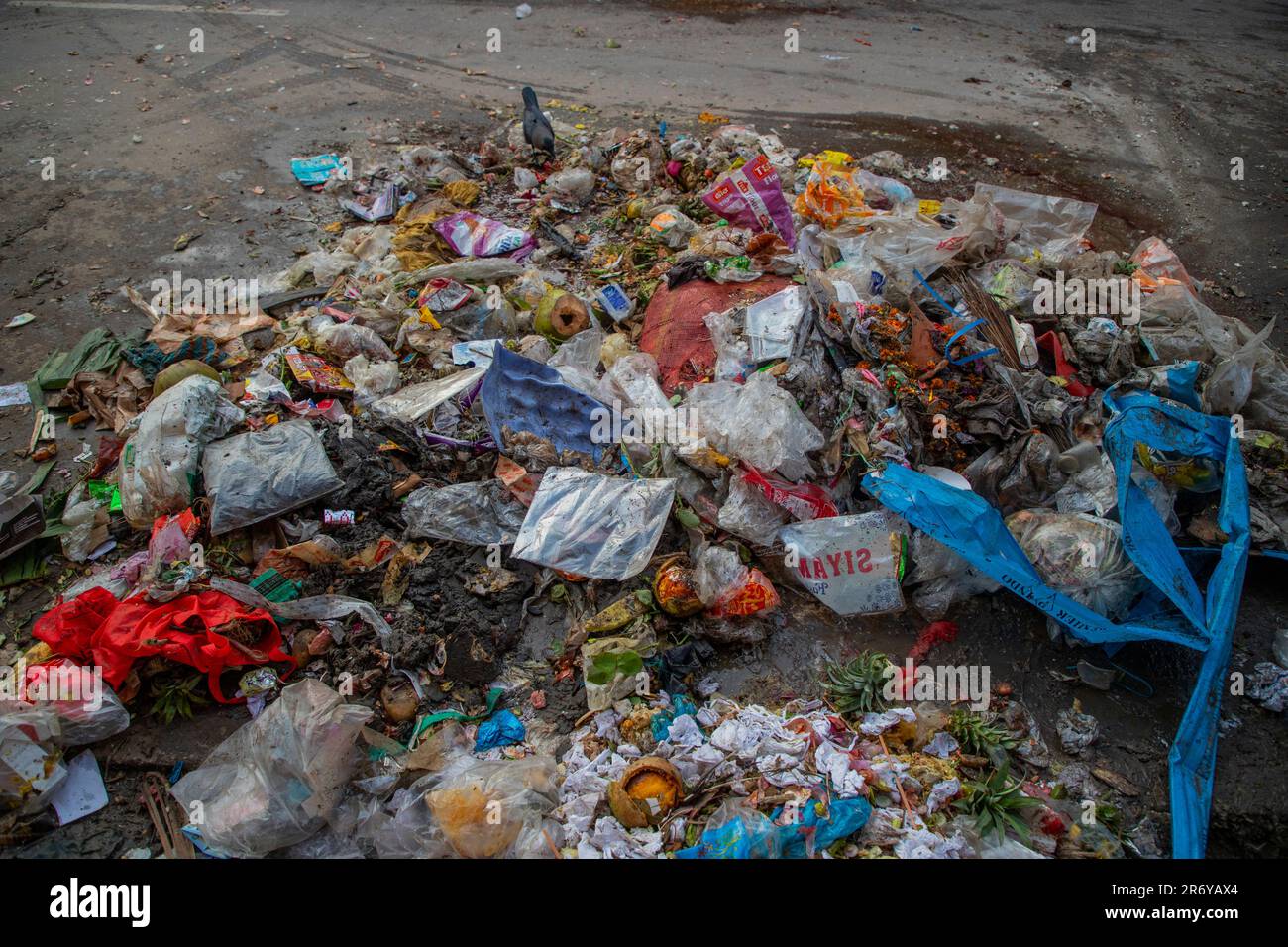 Plastic and other garbage littered of the road at Dhaka, the capital ...