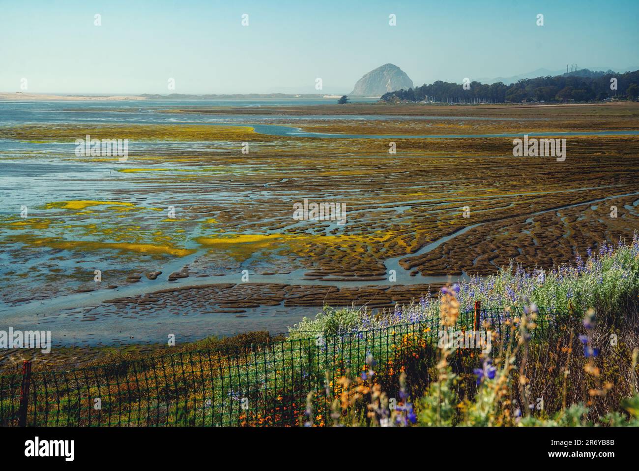 Mudflats during low tide in Morro Bay, California. Slow movement of ...