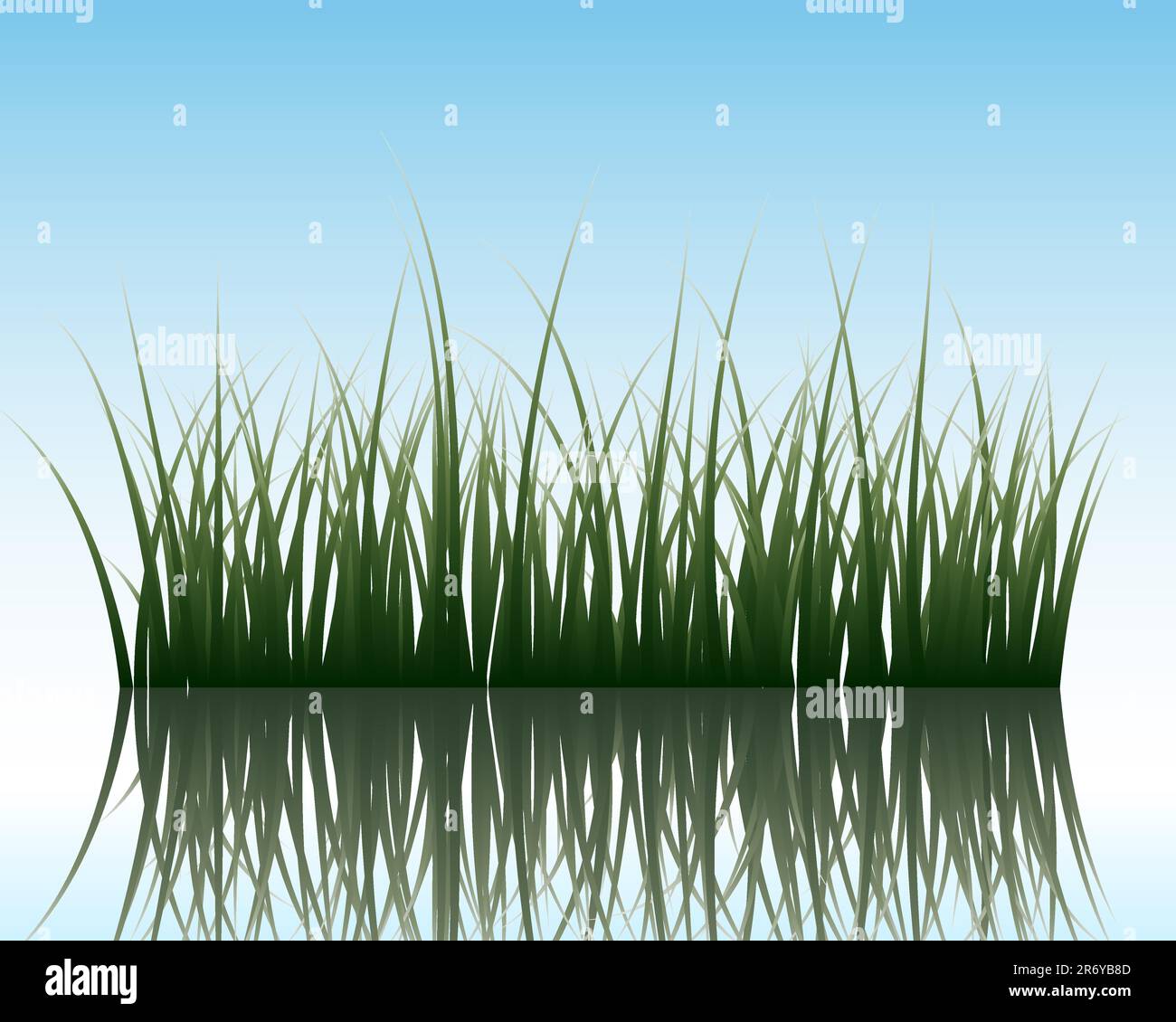 Vector grass silhouettes background with reflection in water. All ...