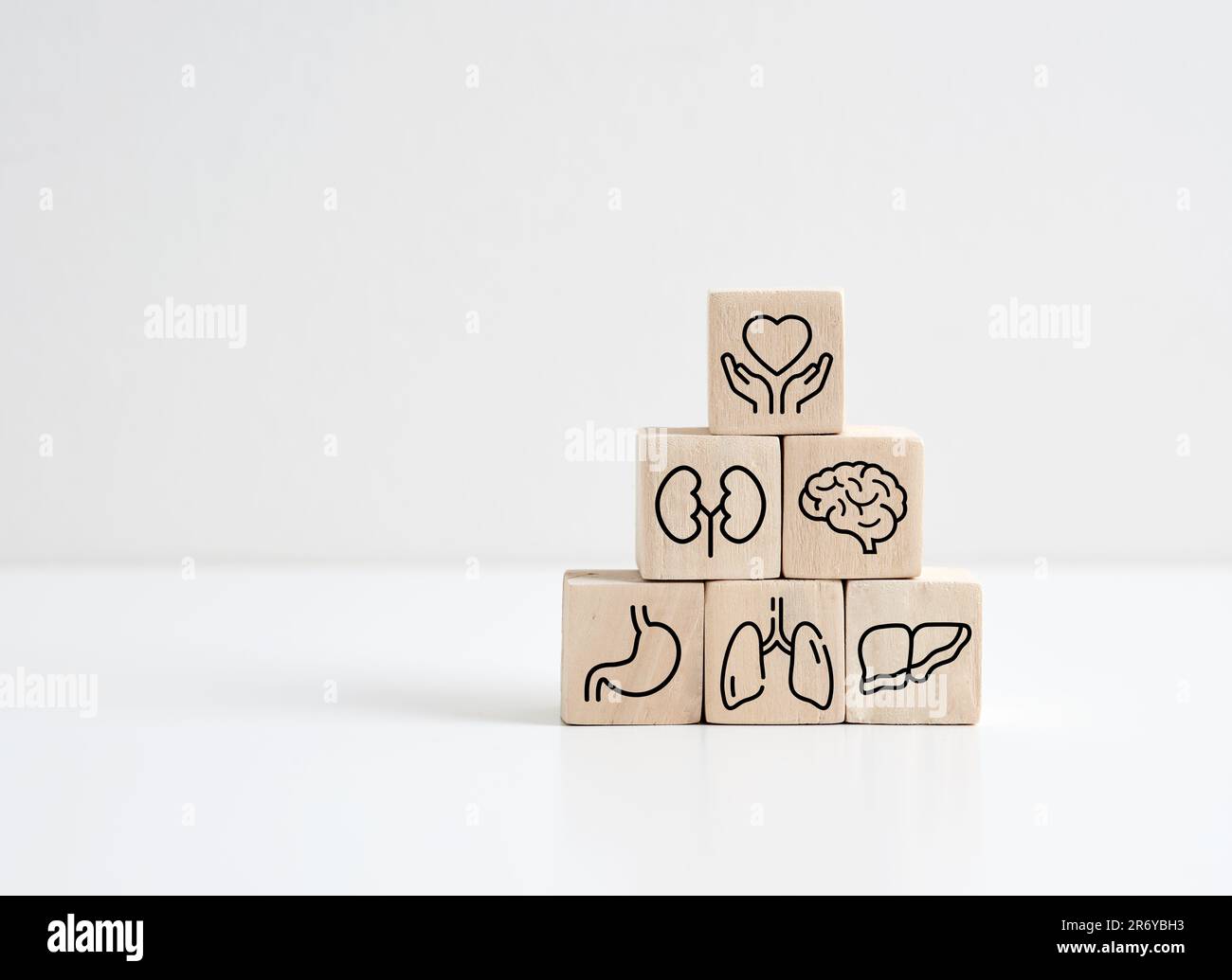 Healthcare and internal organ protection. Health insurance. Protection ...