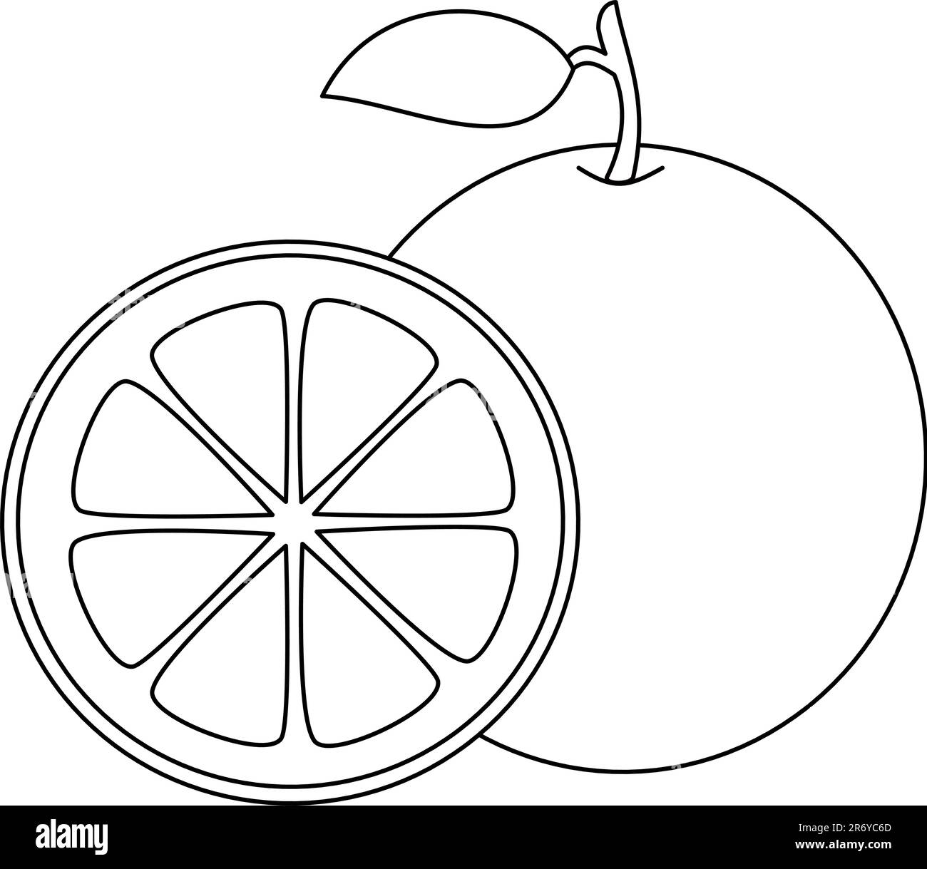 Black and White Illustration of an Orange Stock Vector Image & Art - Alamy