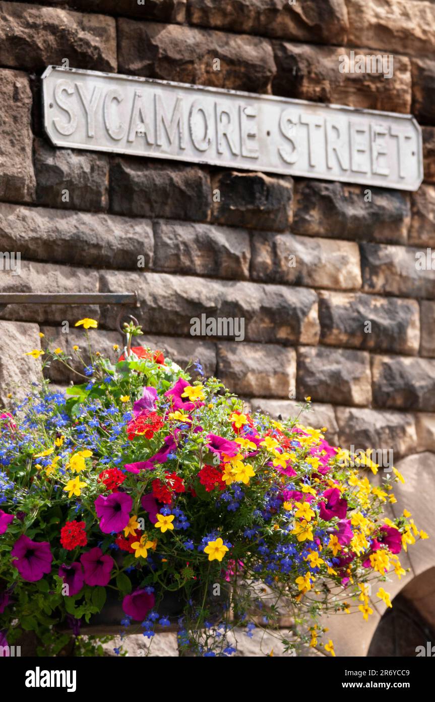 Sycamore street hi-res stock photography and images - Alamy