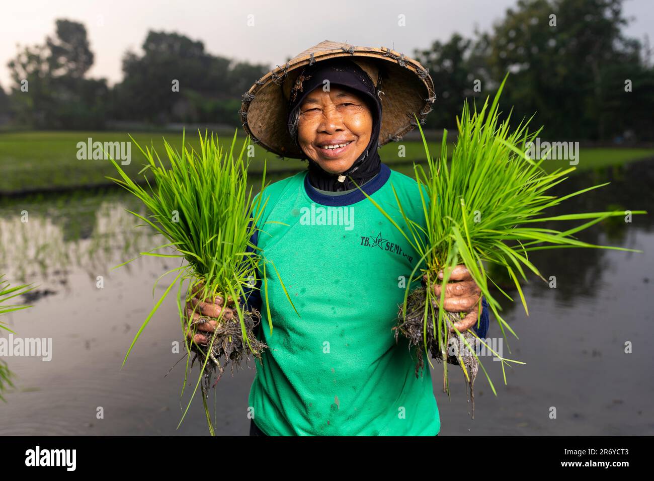 Female happy farmers indonesia hi-res stock photography and images - Alamy