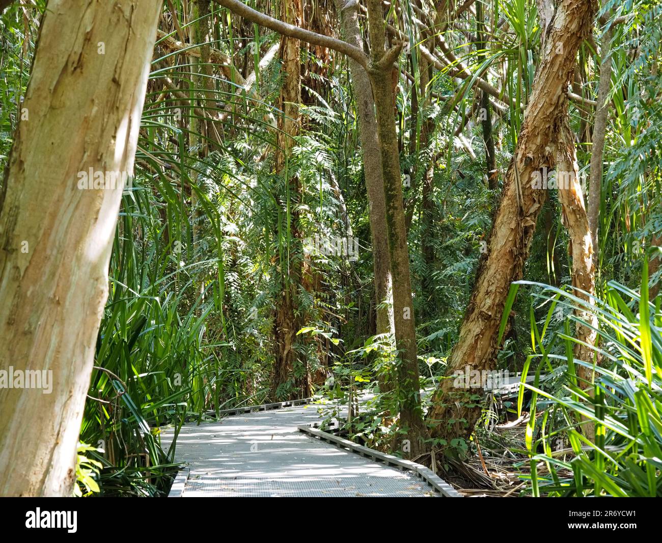 Bush pathway hi-res stock photography and images - Alamy