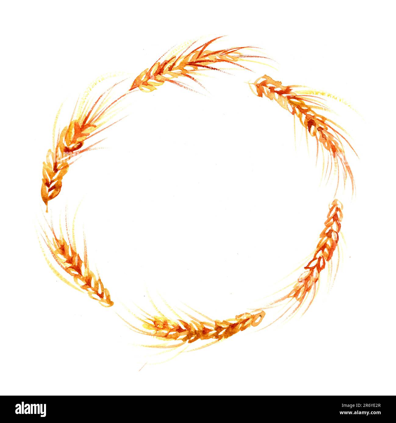 Watercolor cereal wreath. Wheat, barley and rye. Hand-drawn circle ...