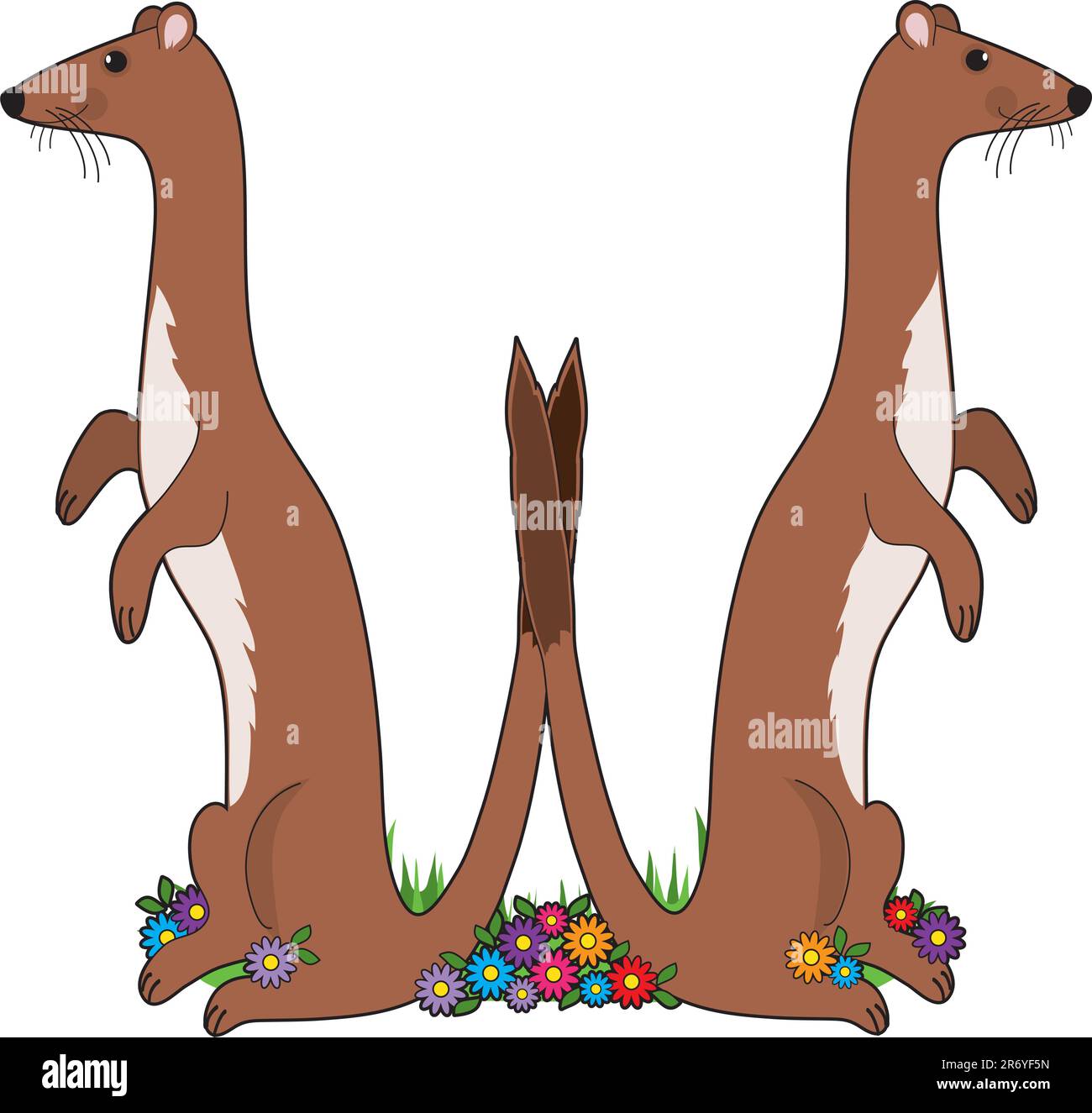 Illustration of weasels Stock Vector Images - Alamy