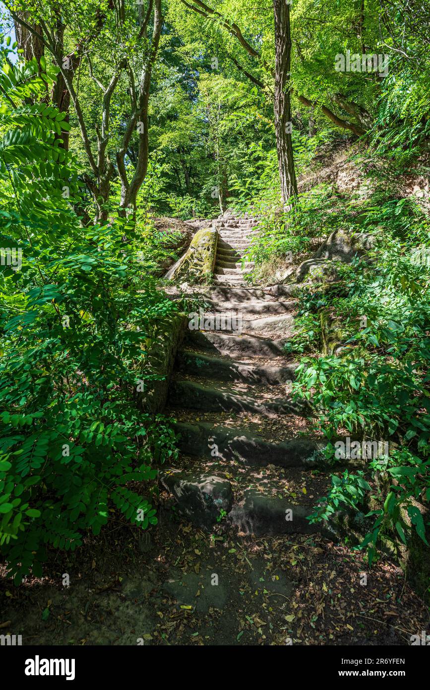 Sandstone steps in forest above Mseno town in Kokorin region in Czech ...