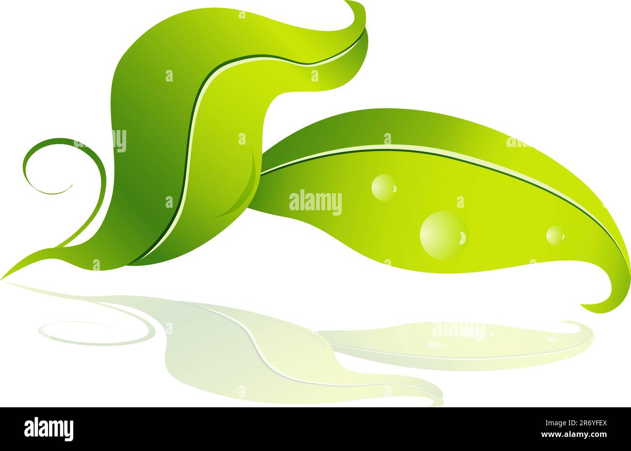 An image of a pair of leaves Stock Vector Image & Art - Alamy