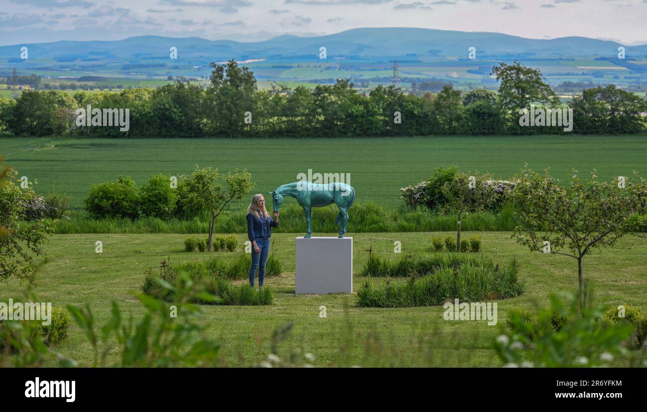 Frippy jameson hi-res stock photography and images - Alamy