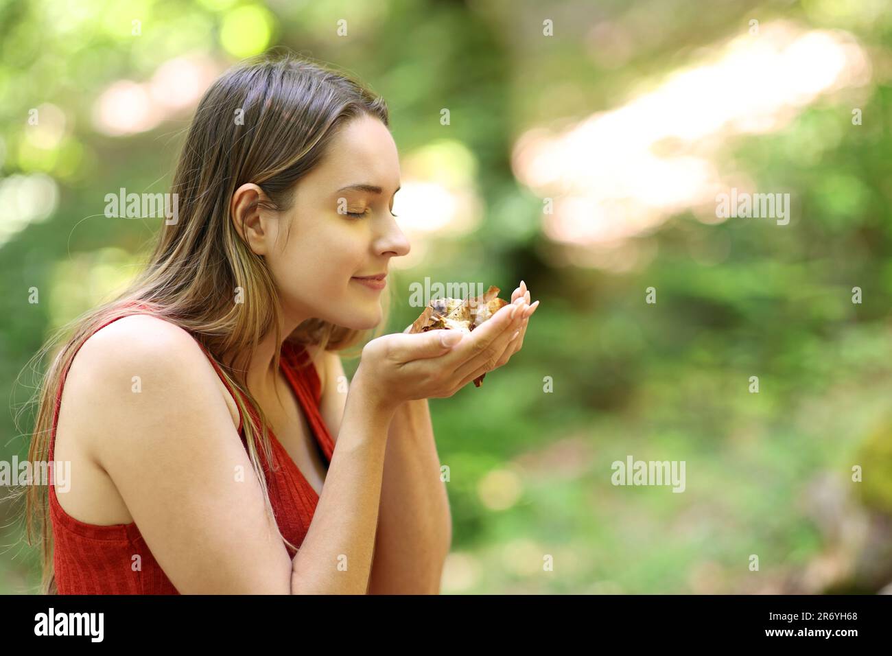 Earthing hi-res stock photography and images - Alamy