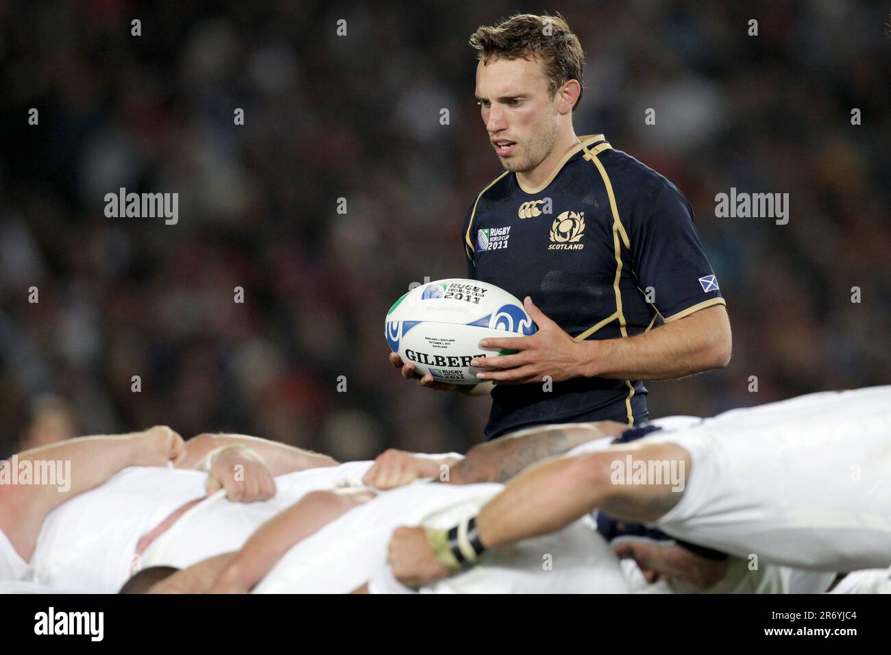 Placing ball into scrum hi-res stock photography and images - Alamy