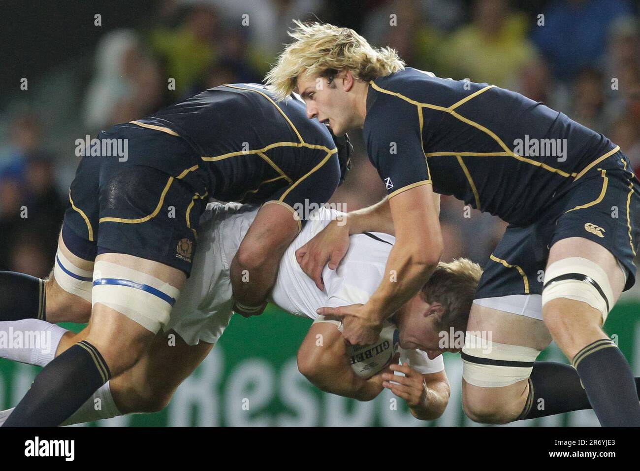 Ally strokosch hi-res stock photography and images - Alamy