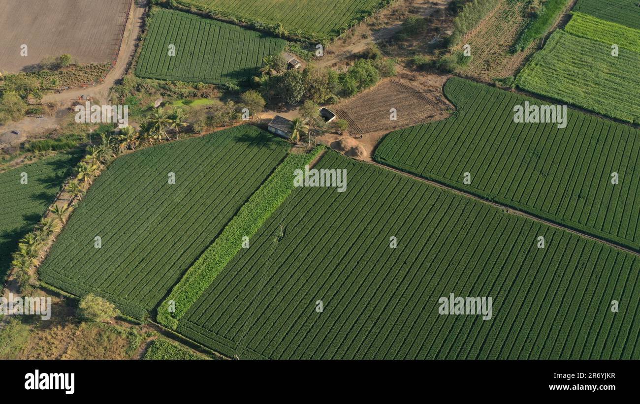 An aerial view of rural landscape with agricultural fields Stock Photo ...