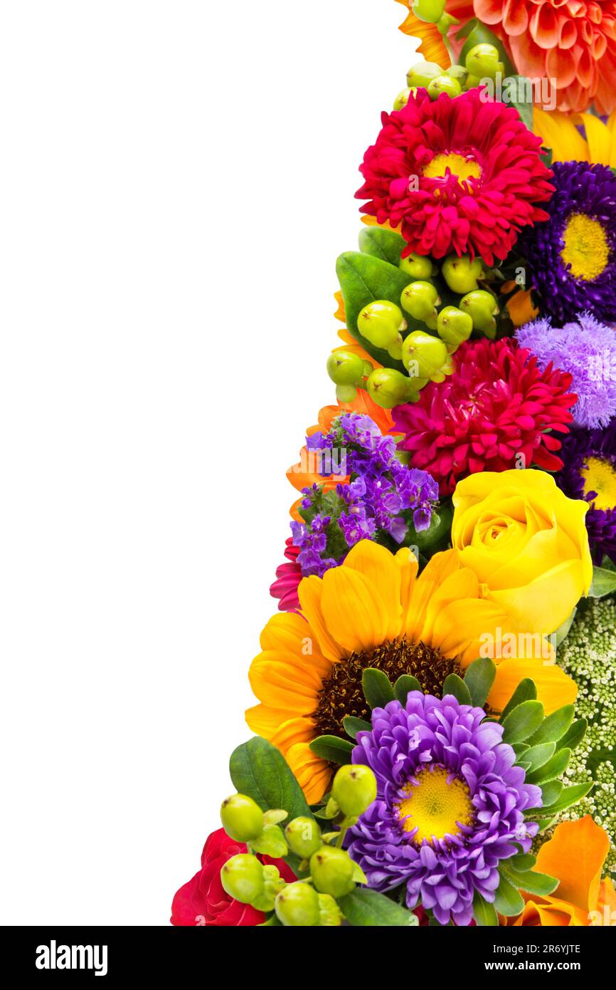 Various colorful summertime flowers isolated on white background Stock ...