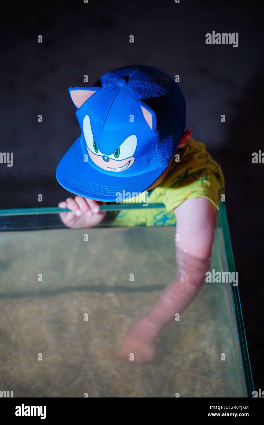 A closeup of a young boy in a navy blue cap looking down at his hand in ...