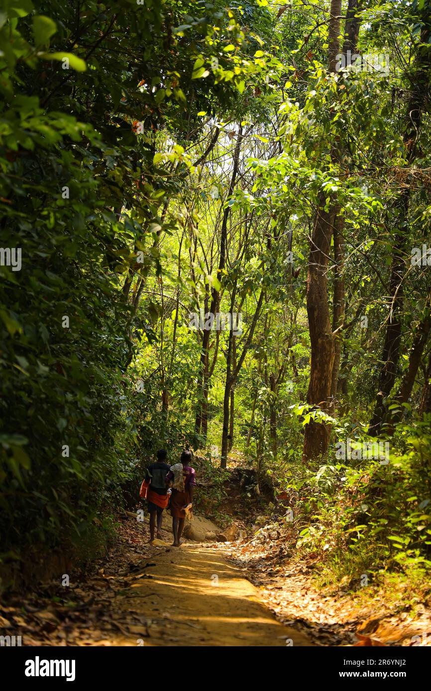 Wild photoshoot hi-res stock photography and images - Alamy