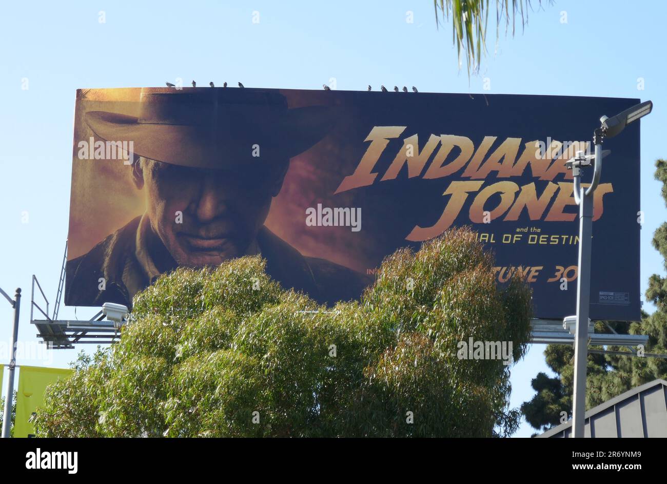 Los Angeles, California, USA 8th June 2023 Indiana Jones and the Dial ...