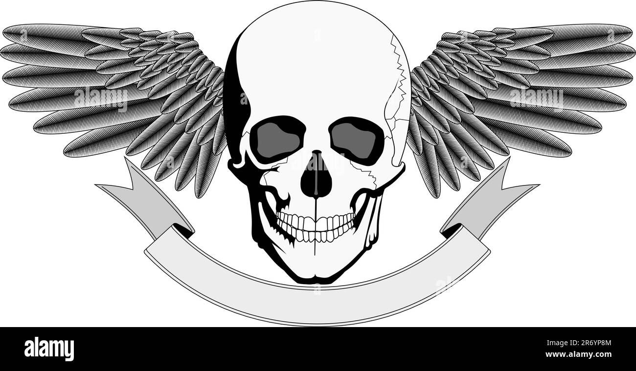 winged Human Skull with heraldic elements, isolated vector ...