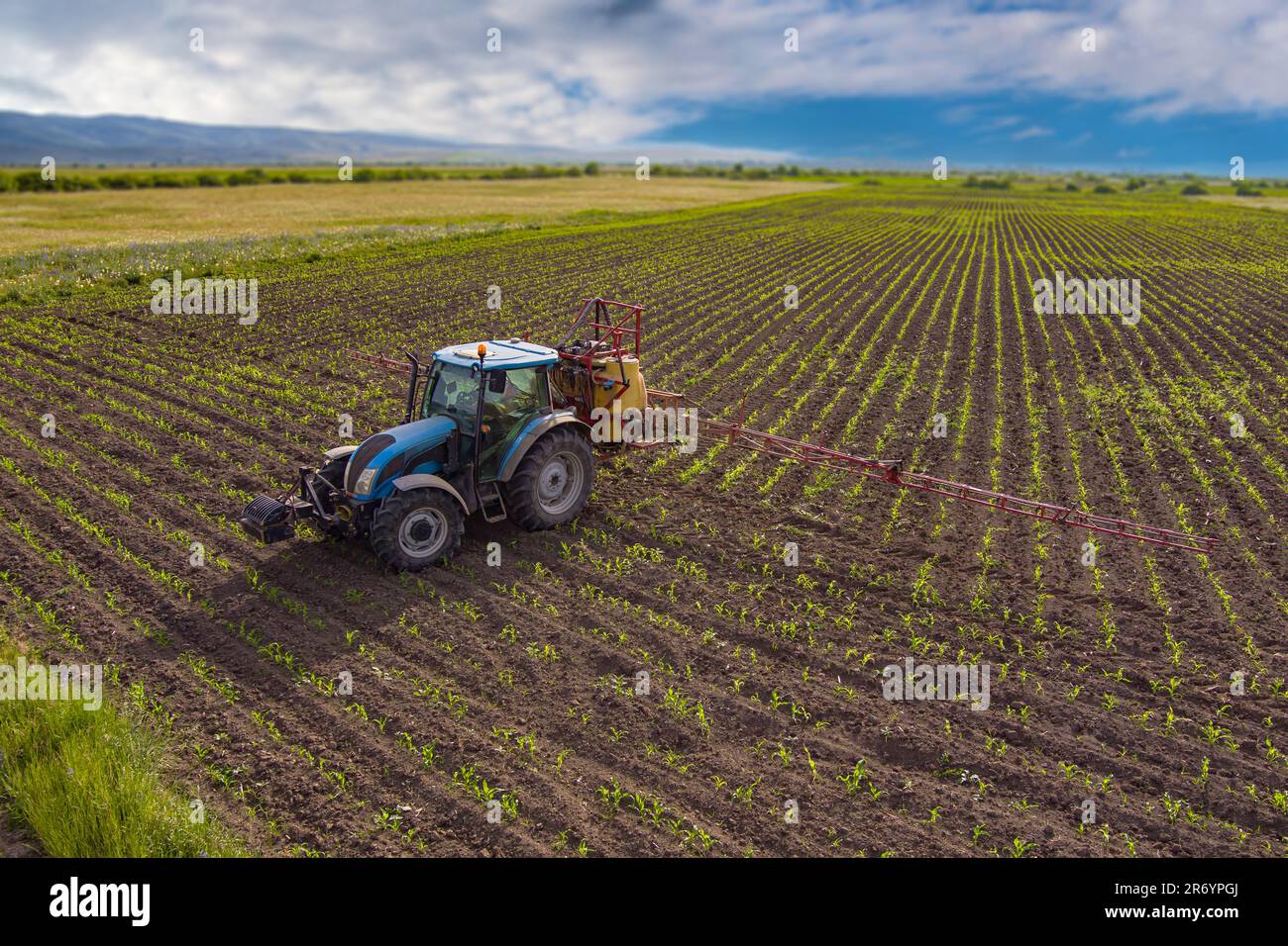 View plantation spraying on field hi-res stock photography and images ...