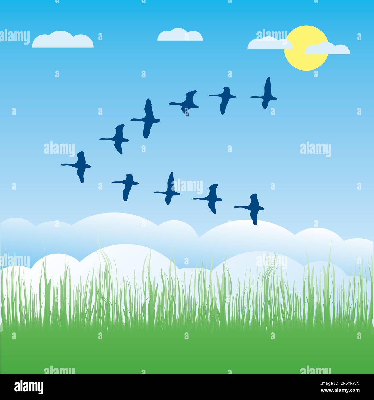 Birds migratory vector illustration cartoon Stock Vector Image & Art ...