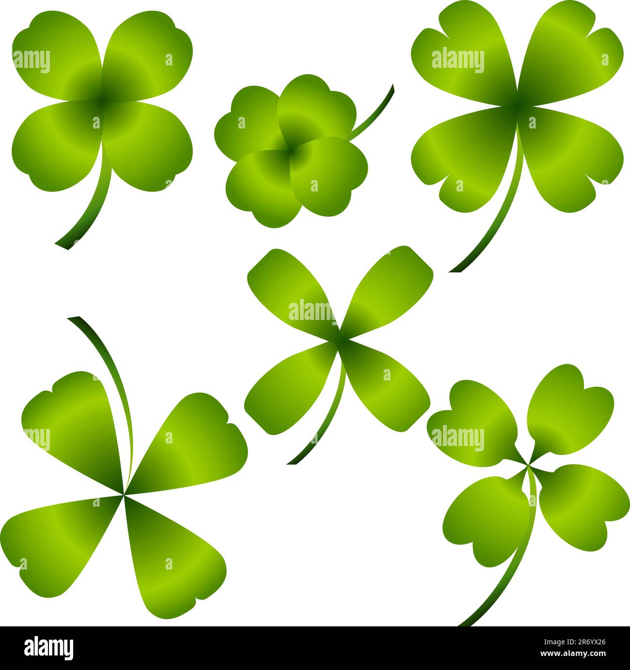 Structure of a plant Stock Vector Images - Alamy