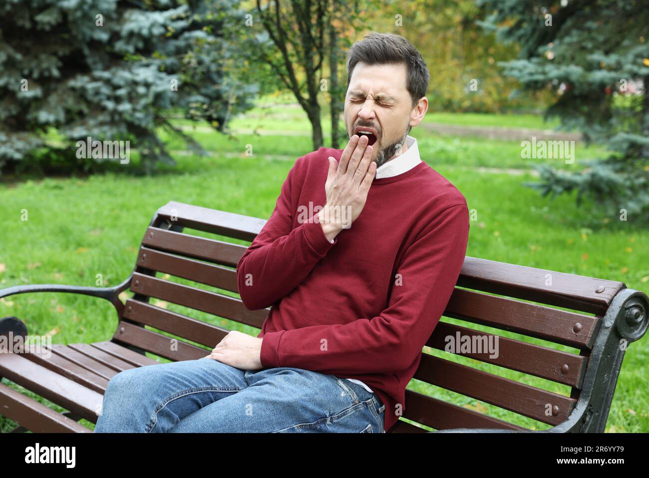 Sleepy tired man yawning on bench in beautiful green park Stock Photo ...