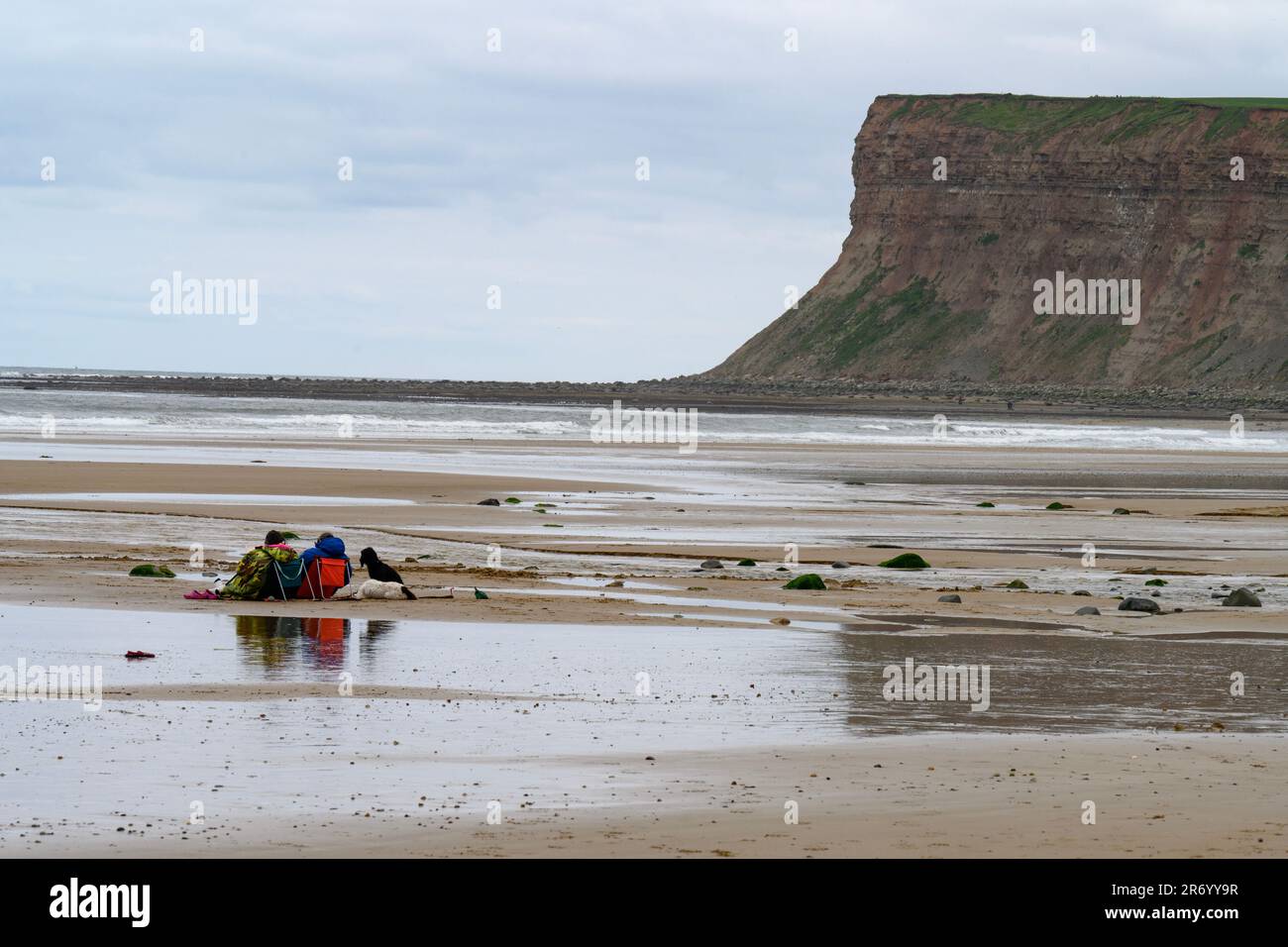 Couple with dogs sitting on cold and windy Saltburn Beach Yorkshire ...