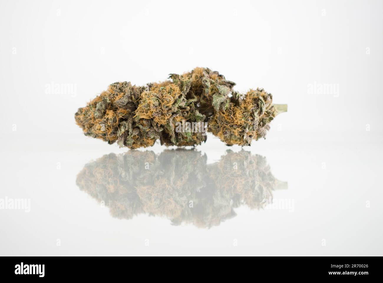 Medical grade marijuana on display at MMJ Dispensary in Denver ...