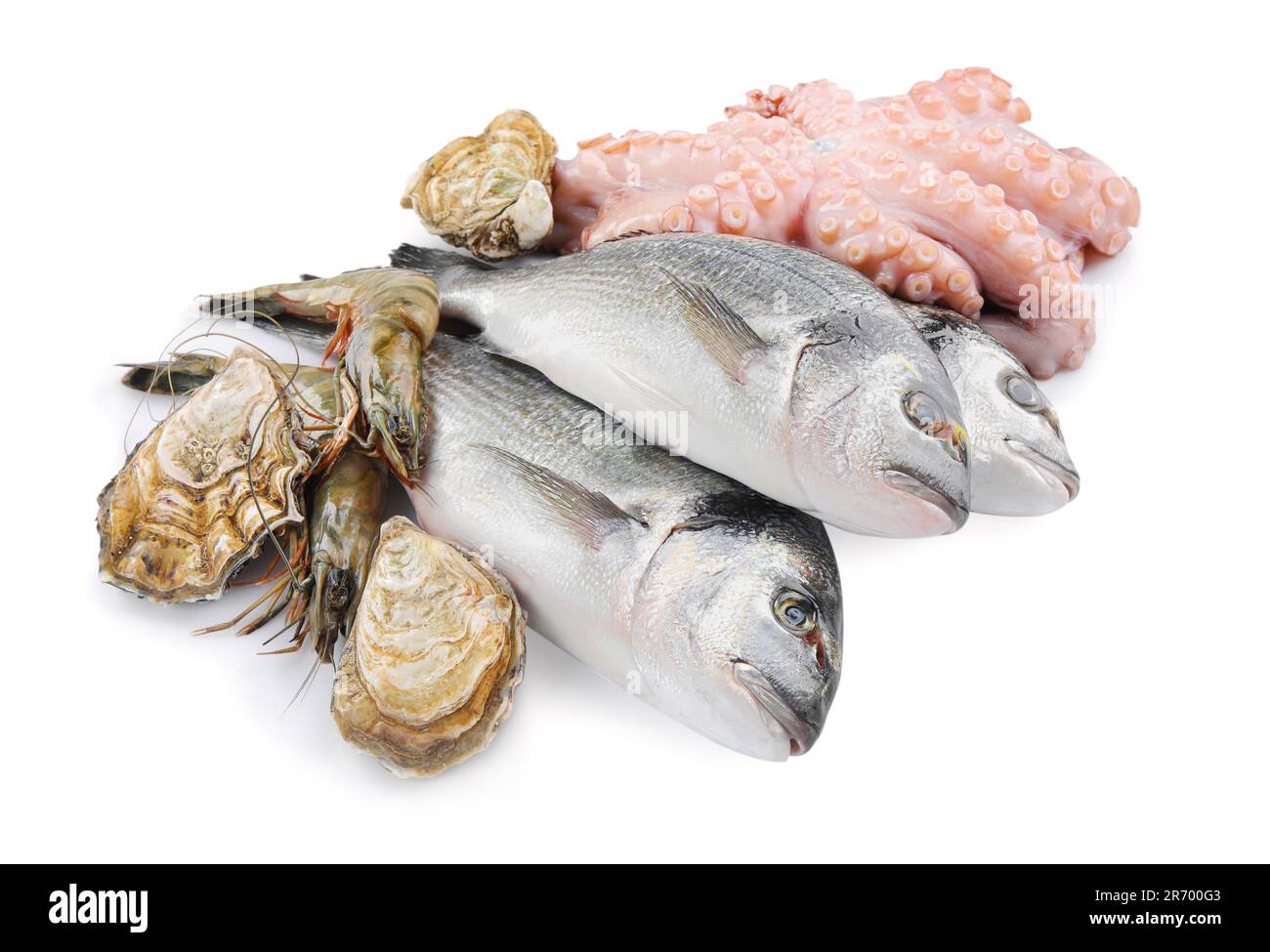 Fresh dorado fish, octopus, oysters and shrimps on white background ...
