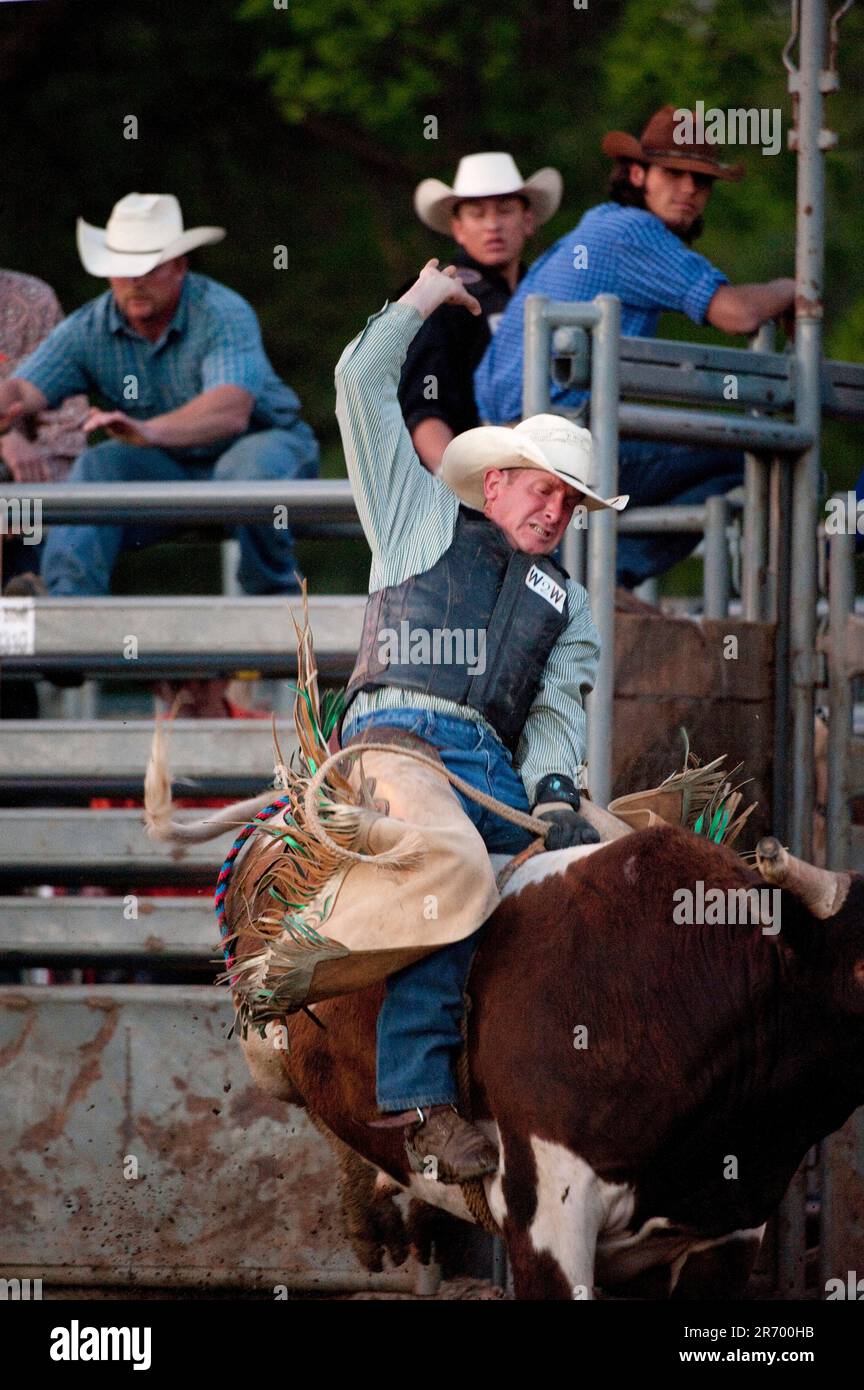 The tough & dark side of Rodeo Cowboys: A rider and bull explode from ...