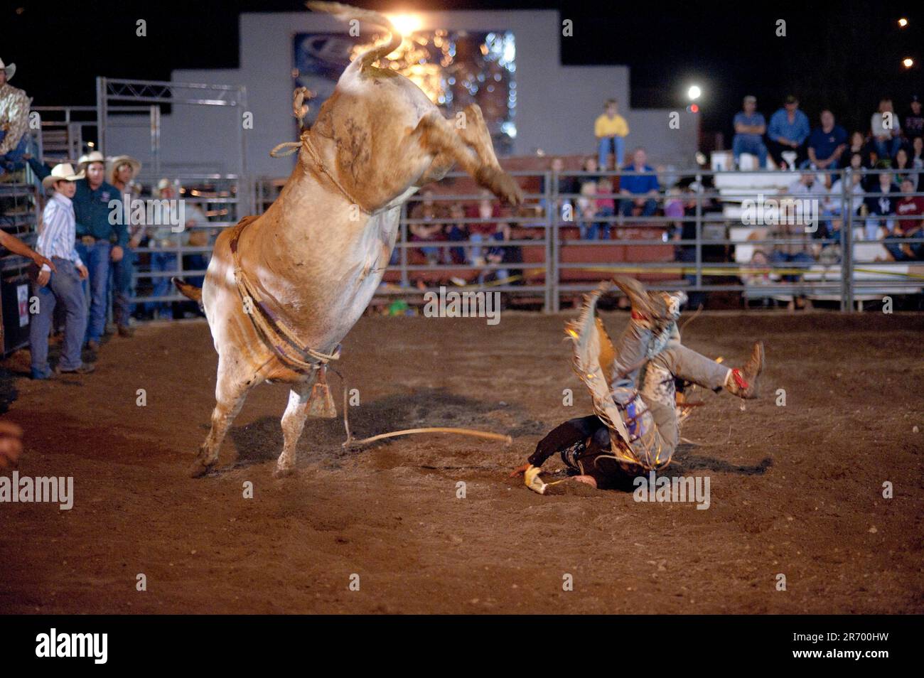 The tough & dark side of Rodeo Cowboys: A bull rider takes a hard ...
