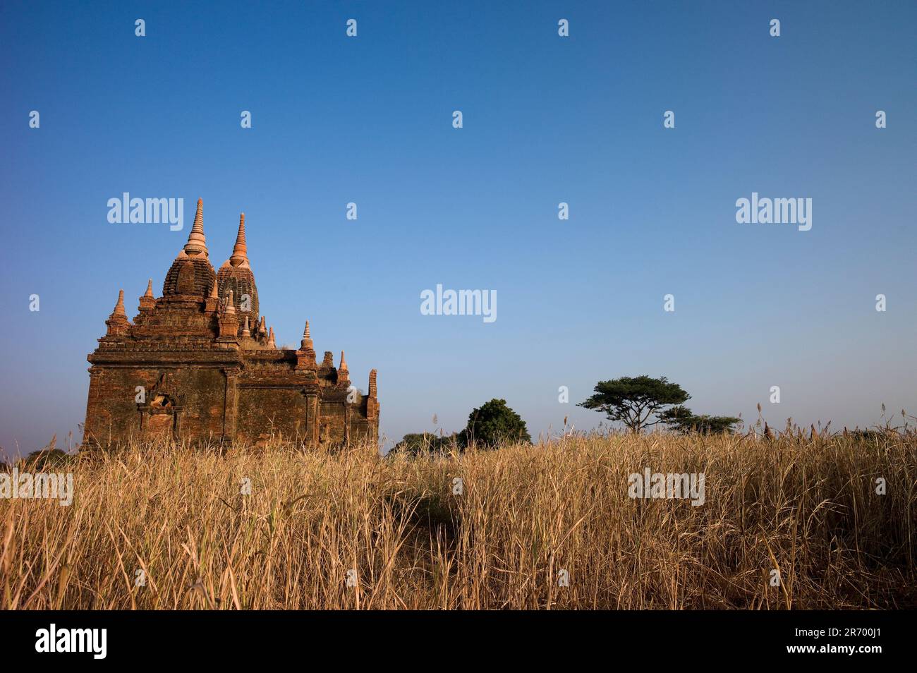 A group of 13th-century pagodas of varying sizes stand among farm ...