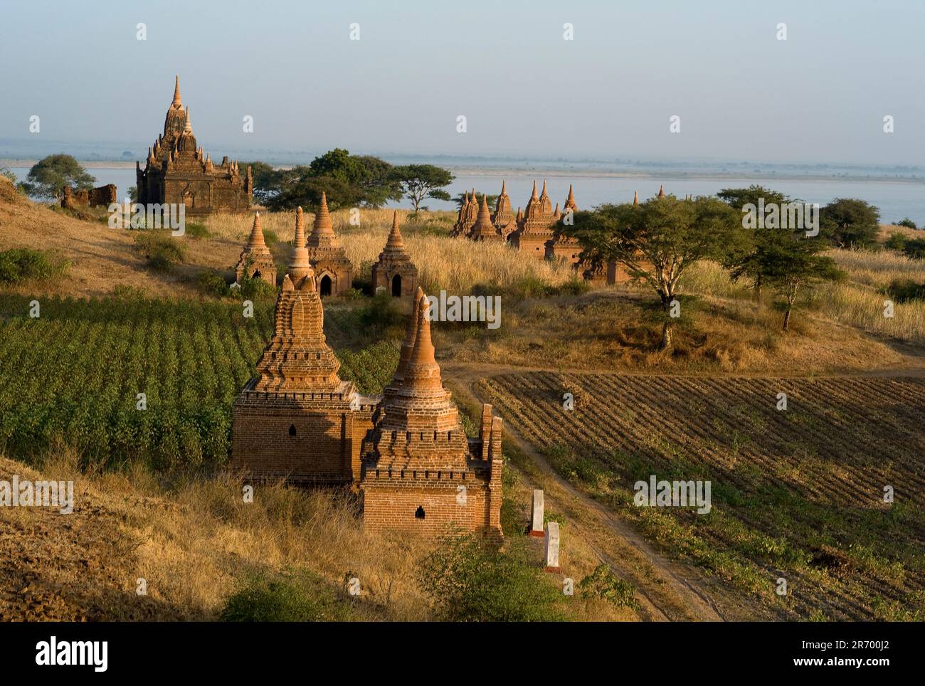 A group of 13th-century pagodas of varying sizes stand among farm ...
