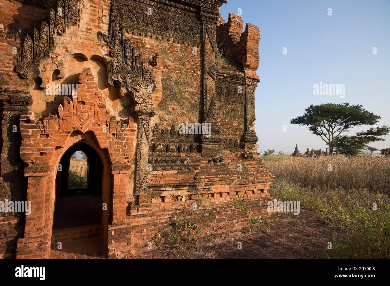 A group of 13th-century pagodas of varying sizes stand among farm ...