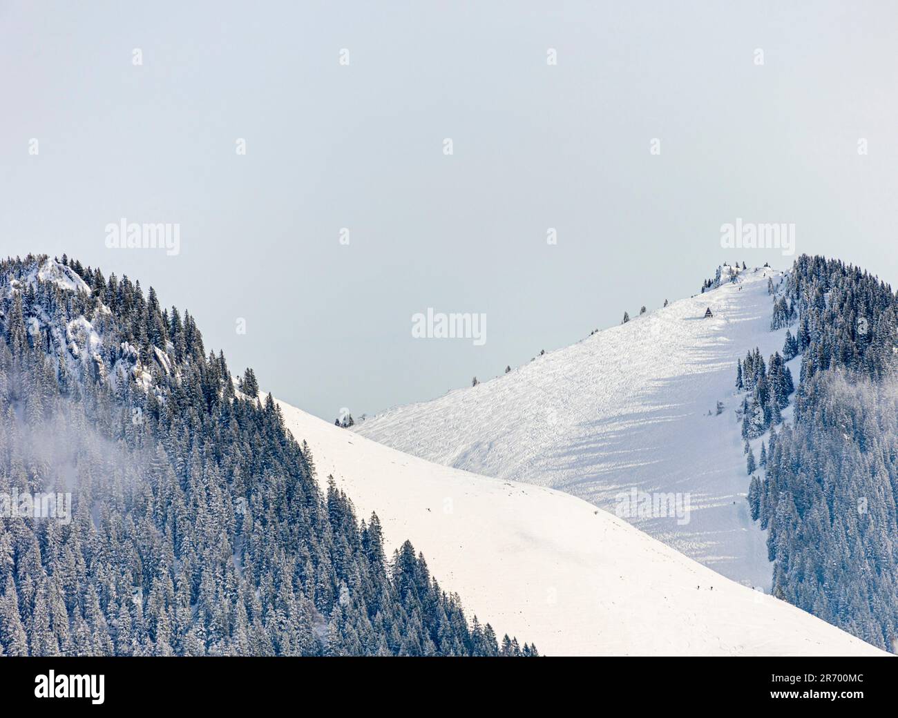 An aerial view of two mountains covered in snow and evergreen pine ...