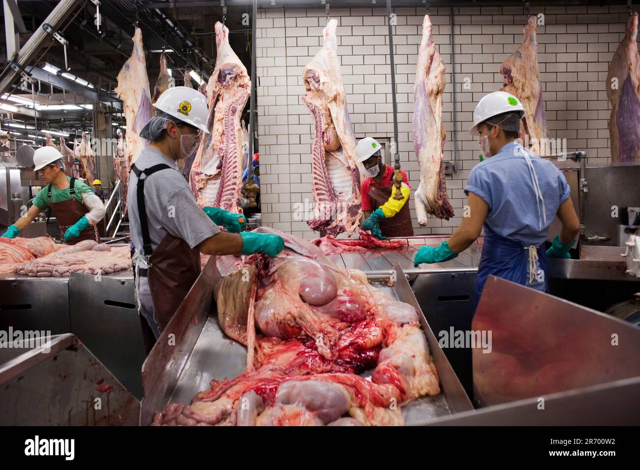 Meat Packing: Offal is separated and sent to a rendering plant as sides ...