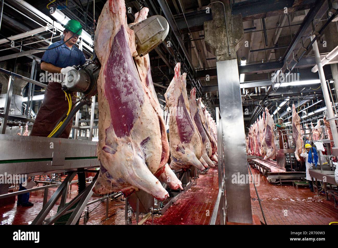 Cattle chute hi-res stock photography and images - Alamy