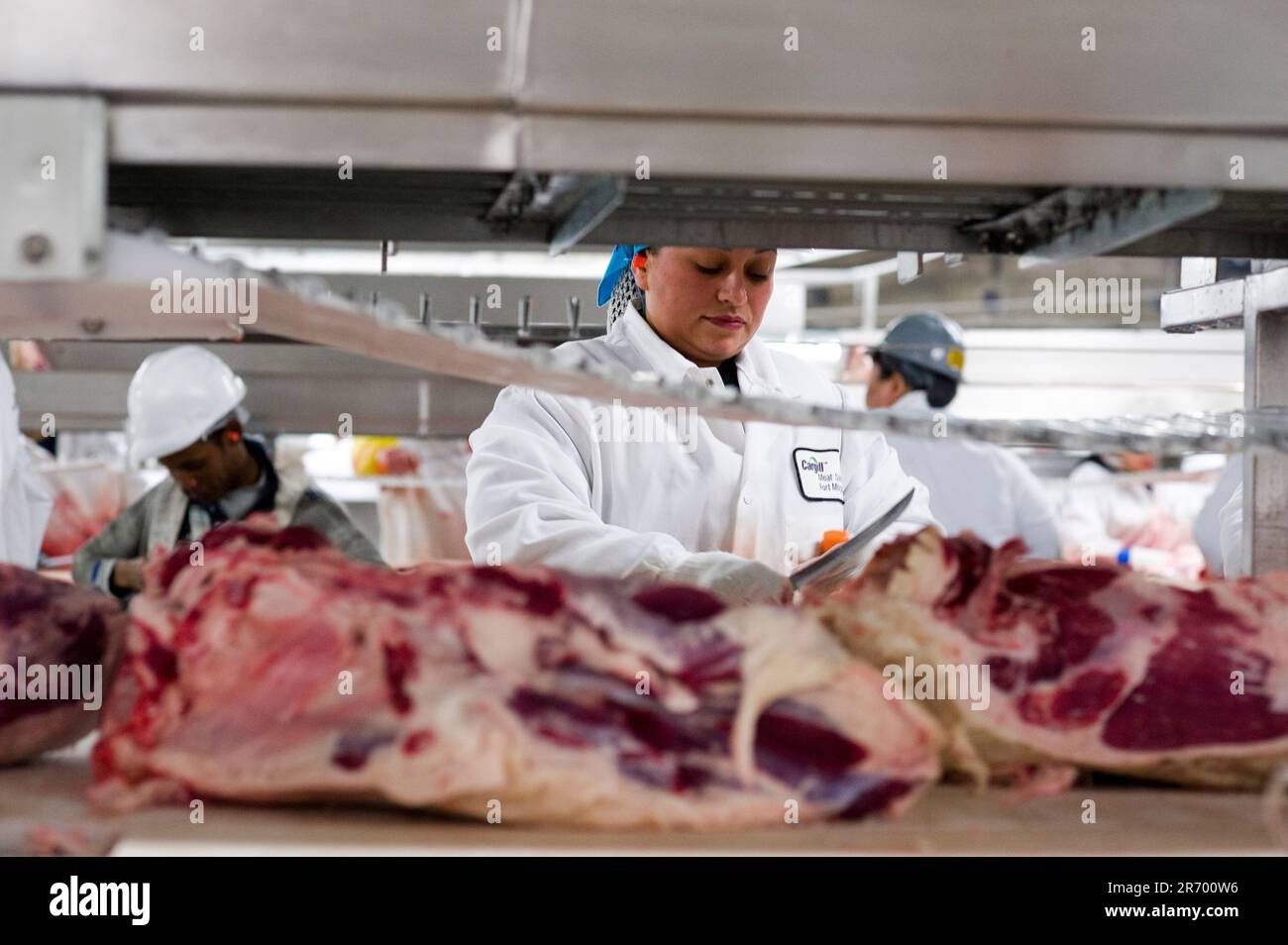 Meat Packing: Beef sides are carried down a line where the meat is cut ...