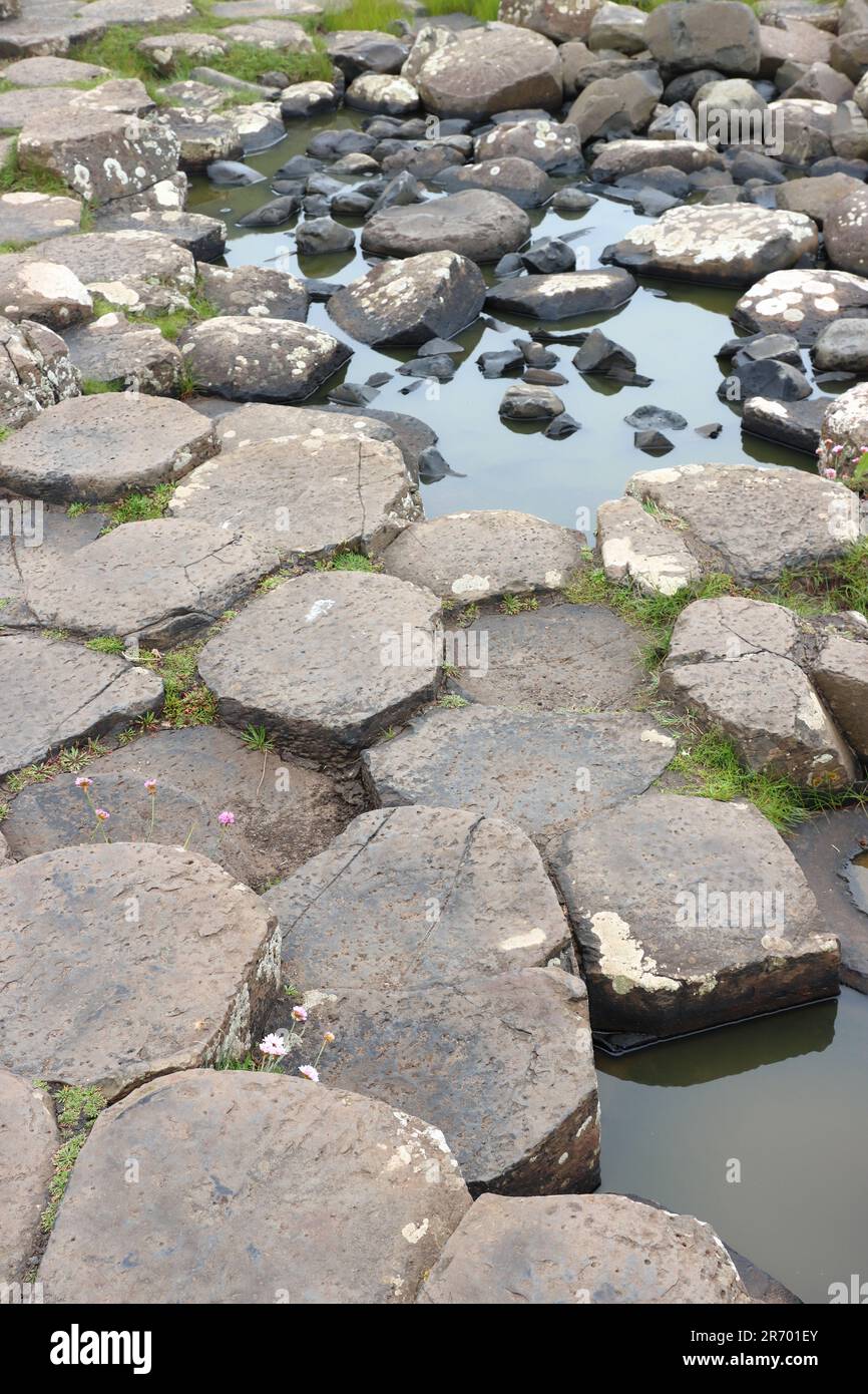 Rock formations at The Giant's Causeway, Country Antrim, Northern ...