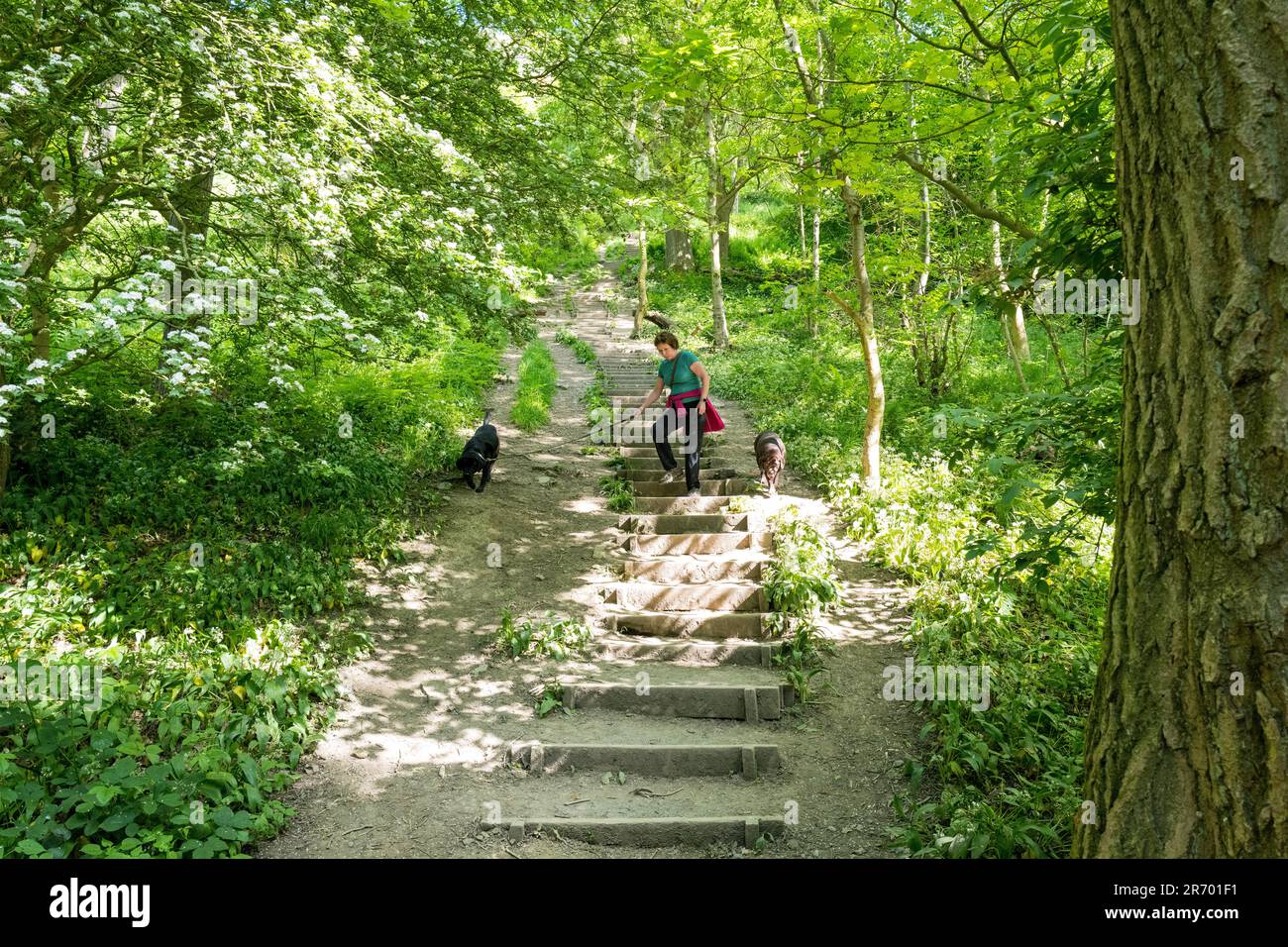 Roseberry Topping North Yorkshire Moors Stock Photo - Alamy