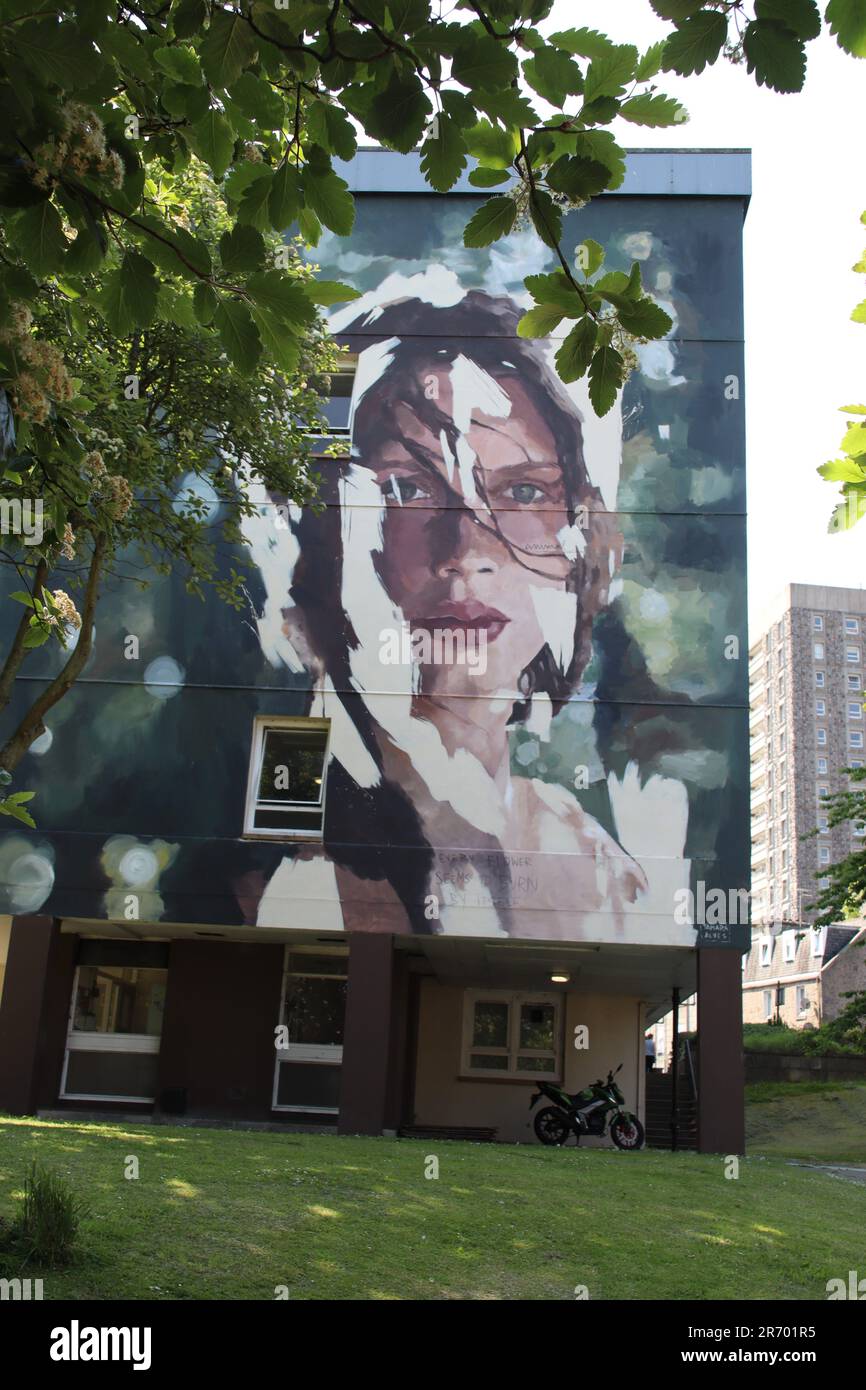 Nuart street art, Aberdeen Stock Photo - Alamy