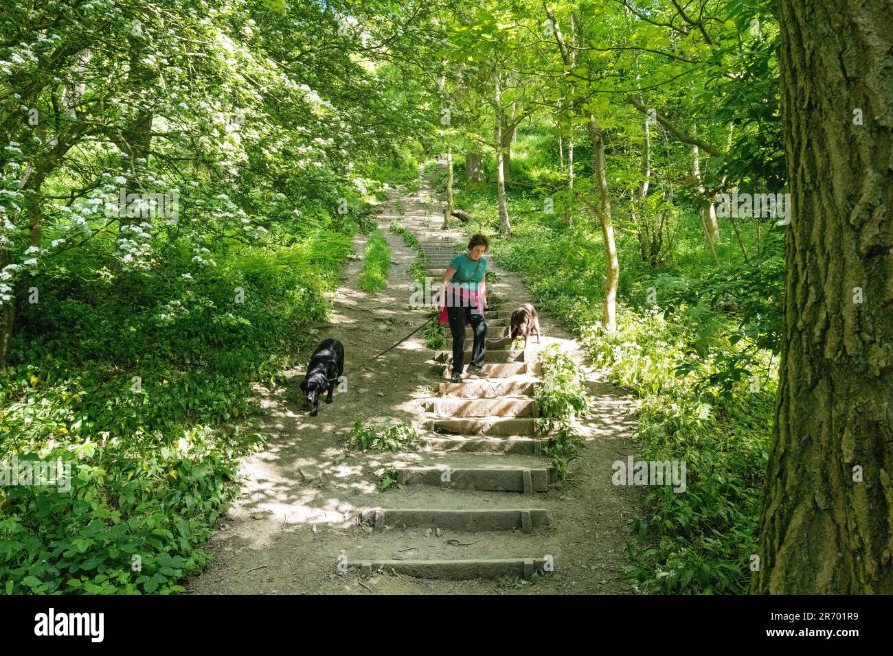 Roseberry Topping North Yorkshire Moors Stock Photo - Alamy