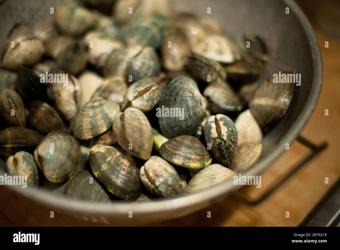 Clam shell image hi-res stock photography and images - Alamy