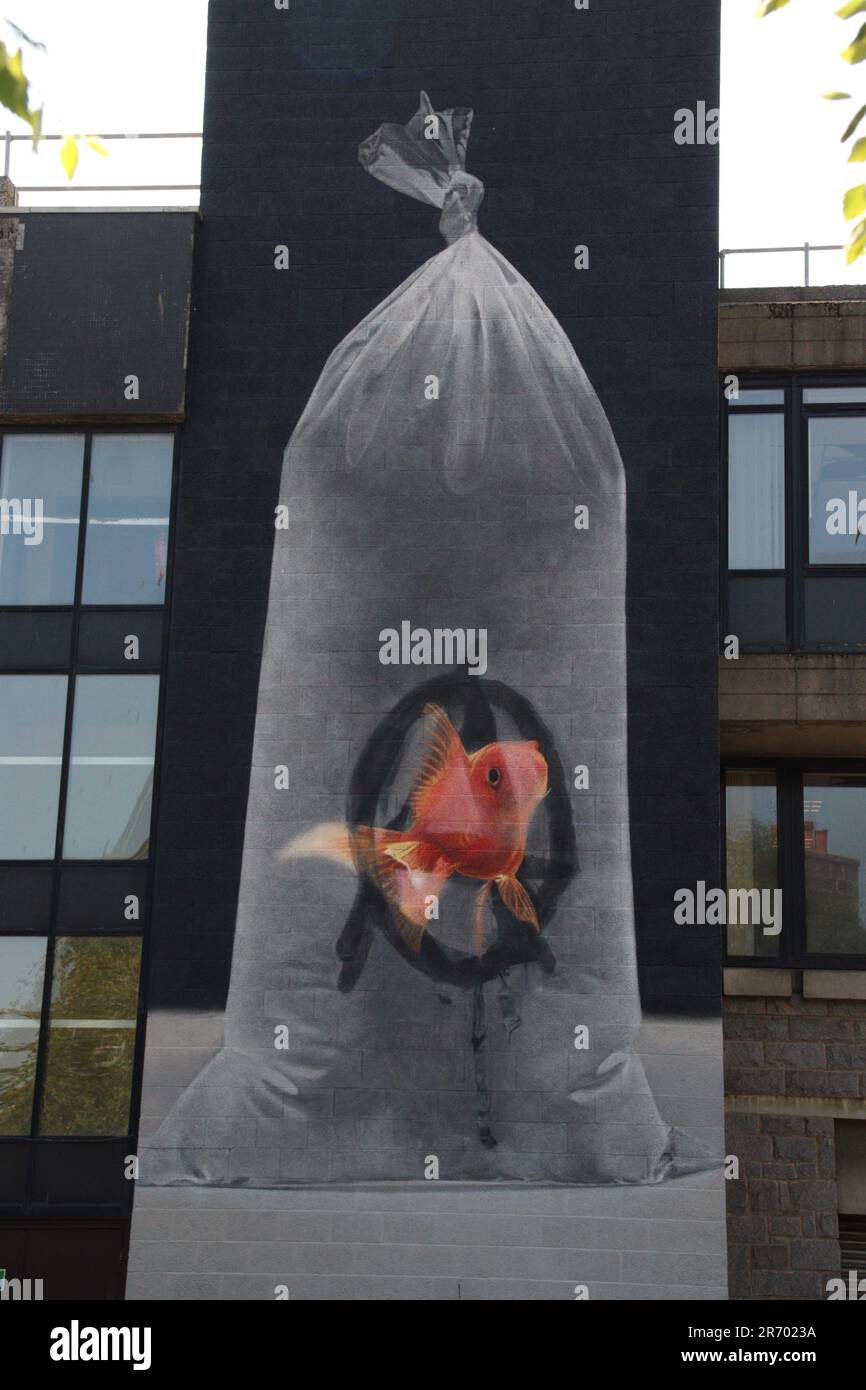 Nuart street art, Aberdeen Stock Photo - Alamy